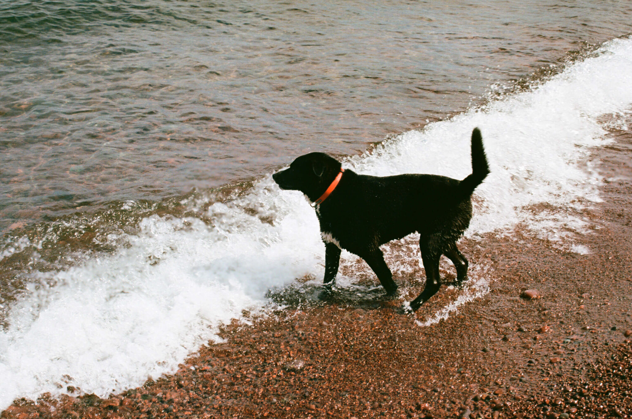 Exploring the Upper Peninsula | Kristina Sobel Photography